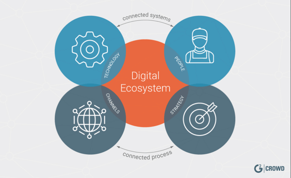 Digital Platform Trends: The Digital Ecosystem